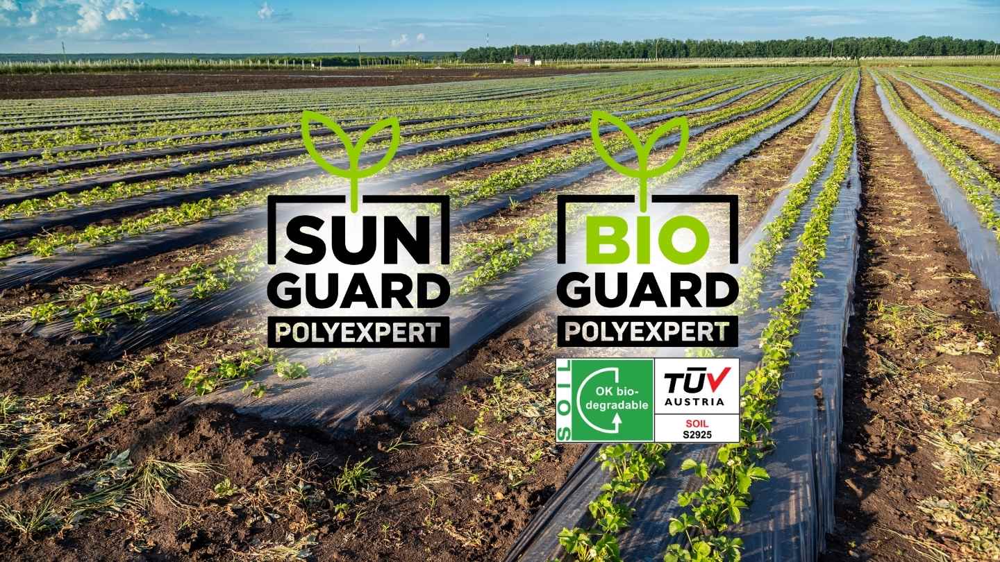 Pourquoi les paillis de PolyExpert sont un choix gagnant pour votre ...